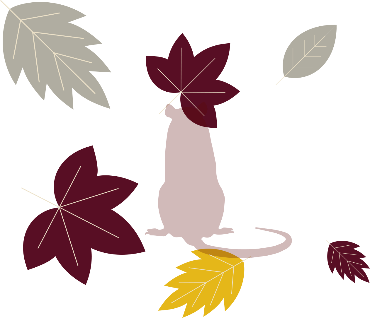 Killgerm to największy w Europie dostawca produktów do ochrony przed ...